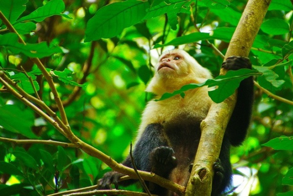 Rincon de la Vieja National Park Tour | Native's Way Costa Rica