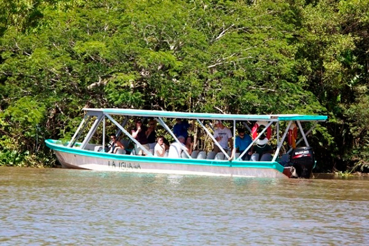 Tamarindo Estuary Tour | Native's Way Costa Rica - Tours & Transfers
