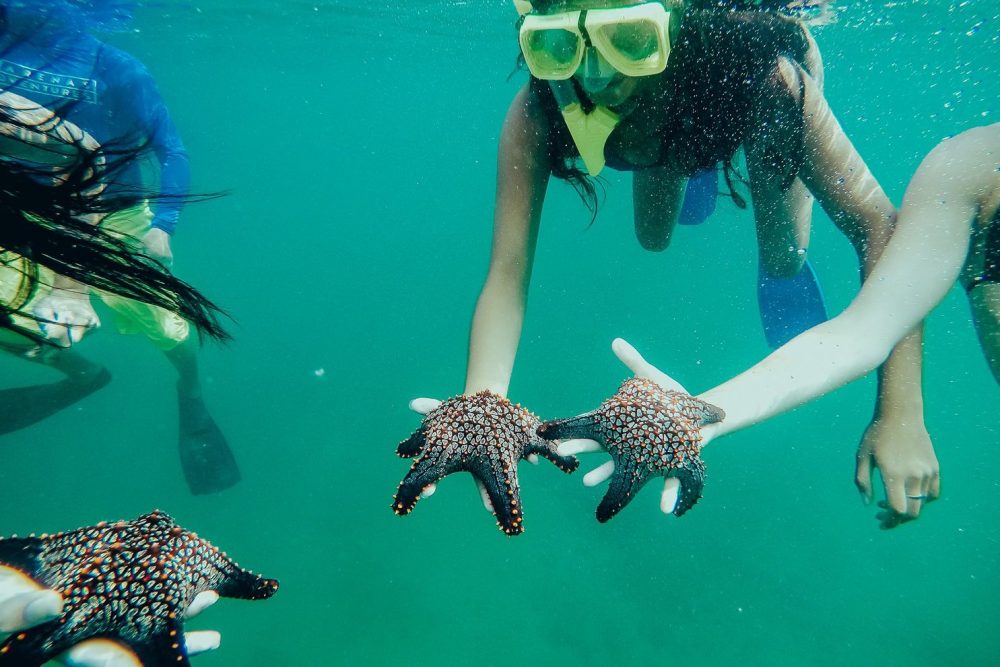 Flamingo Snorkeling Catalinas Islands | Native's Way Costa RIca