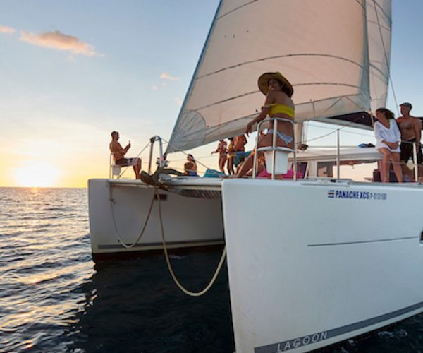 Panache Catamaran Tour Flamingo | Native's Way Flamingo Tours