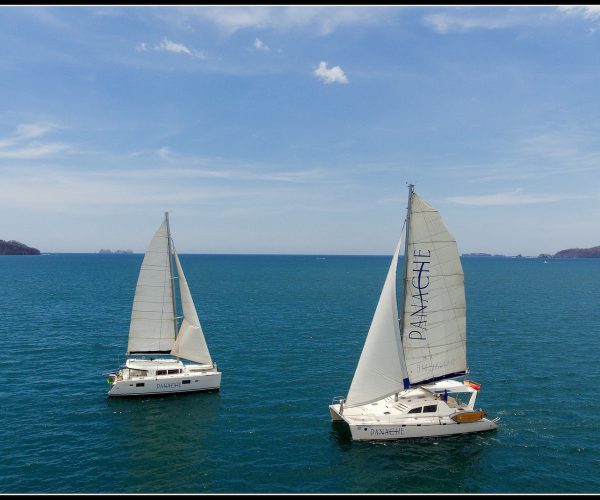 Panache Catamaran Tour Flamingo | Native's Way Flamingo Tours