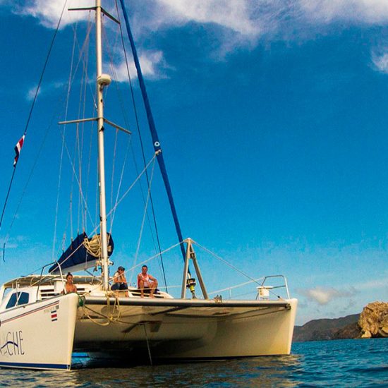 Panache Catamaran Tour Flamingo | Native's Way Flamingo Tours
