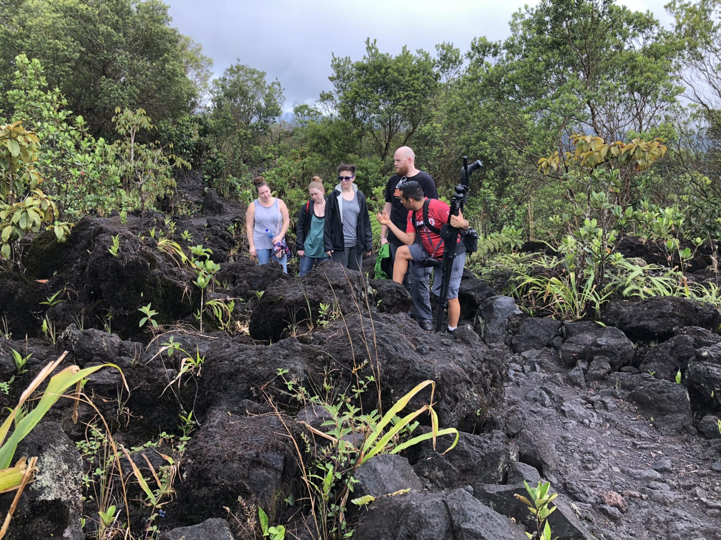 Arenal Volcano Hike & La Fortuna Waterfall Tour | Native's Way Costa Rica