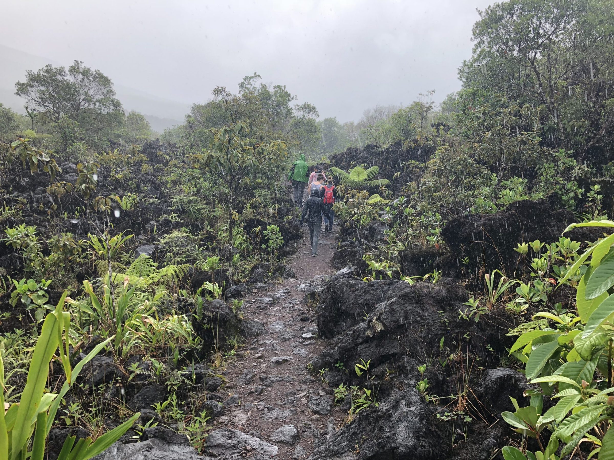 Arenal Volcano Hike & La Fortuna Waterfall Tour | Native's Way Costa Rica