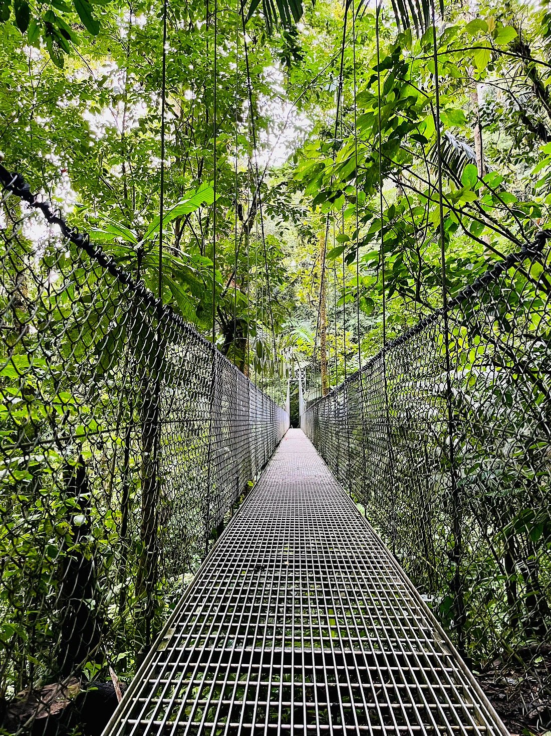 Arenal Hanging Bridges Tour | Native's Way Costa Rica