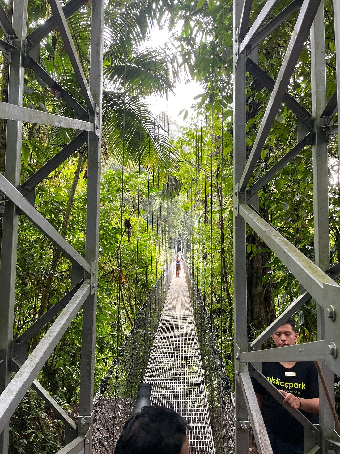 Arenal Hanging Bridges Tour | Native's Way Costa Rica