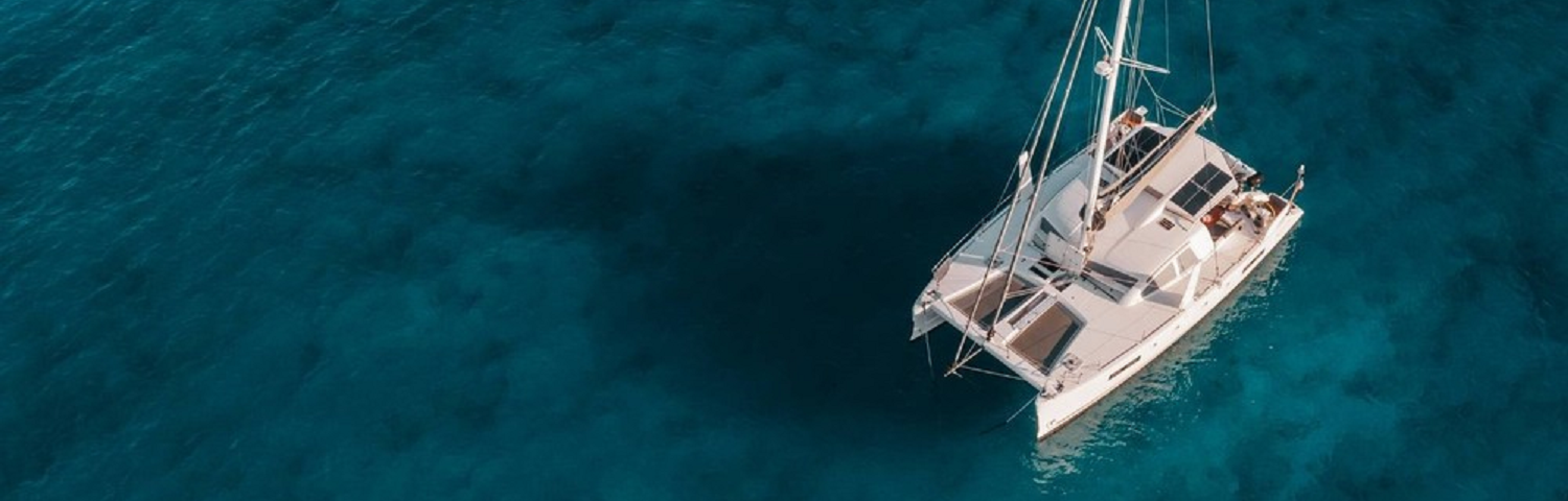 Blue Dolphin Private Catamaran Tamarindo Tour | Native's Way