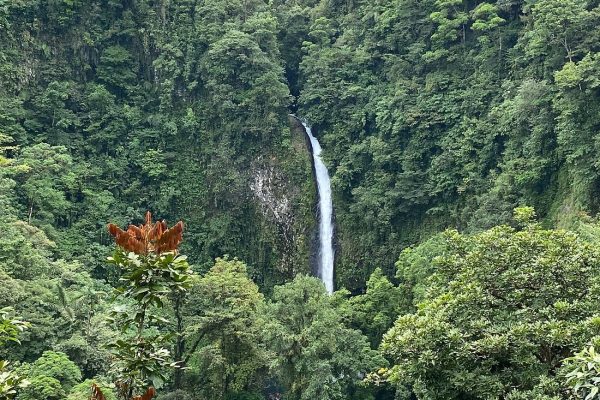 Arenal Volcano Hike & La Fortuna Waterfall Tour | Native's Way Costa Rica