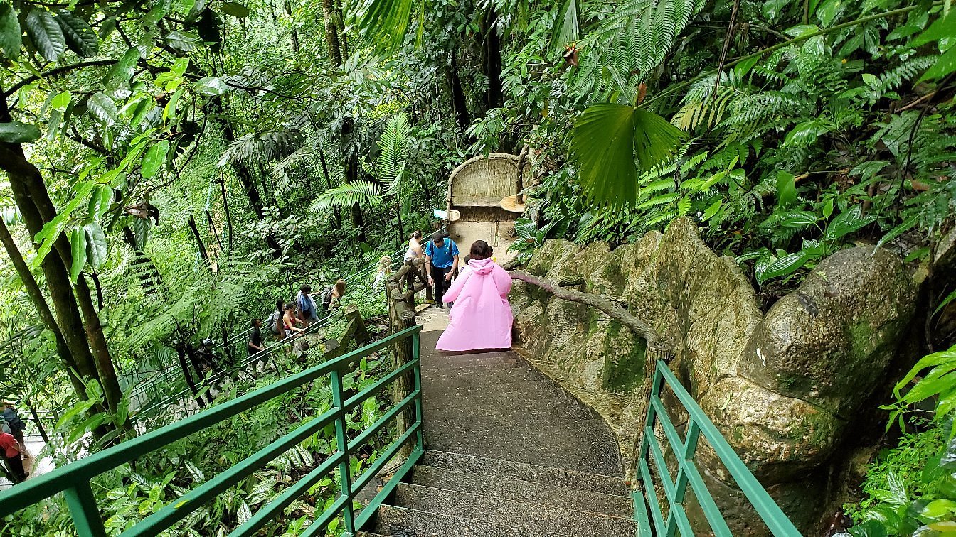Arenal Volcano Hike & La Fortuna Waterfall Tour | Native's Way Costa Rica