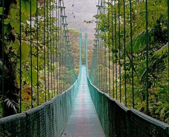 Arenal Hanging Bridges Tour | Native's Way Costa Rica