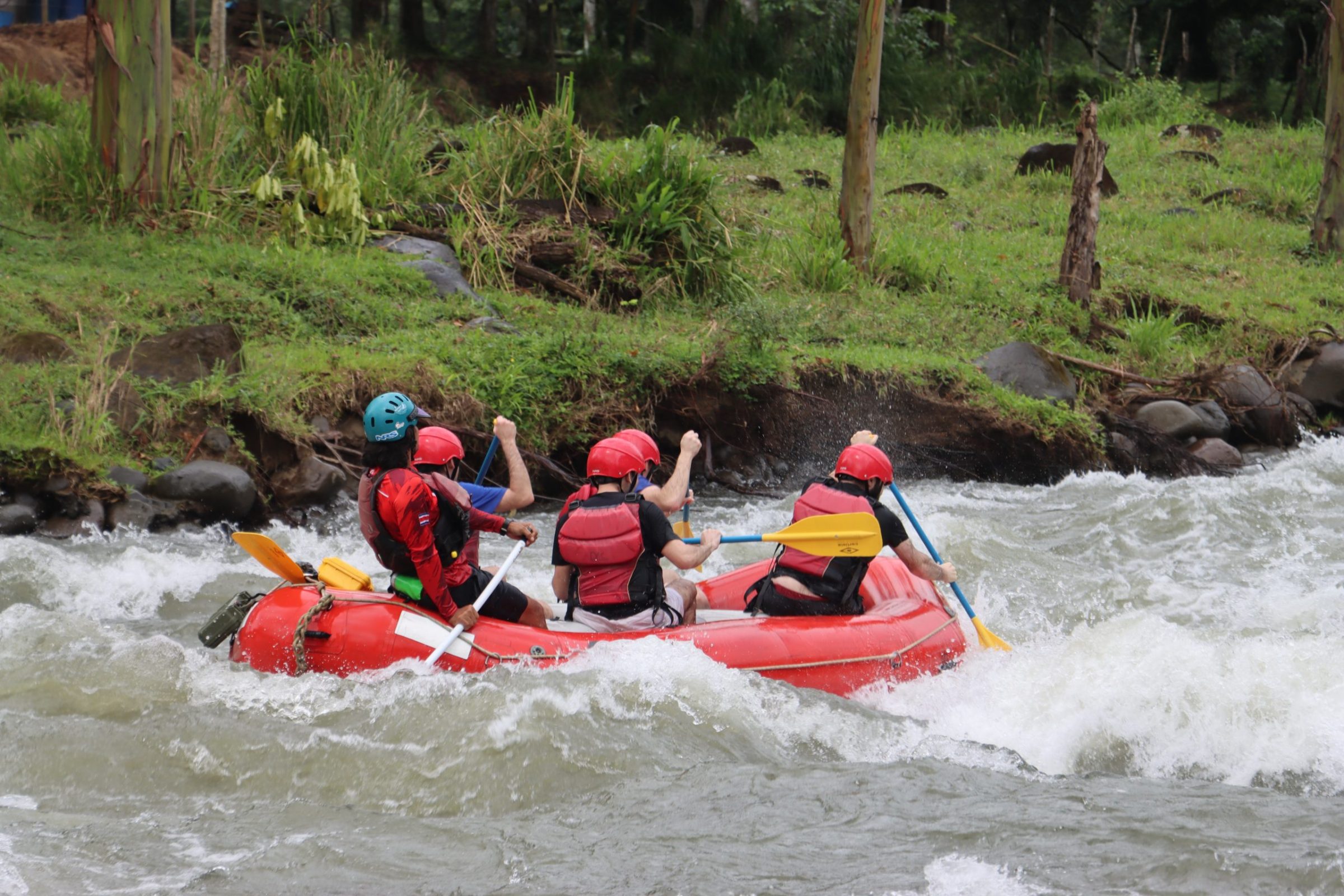 Whitewater Rafting Sarapiquí River Class 2-3 from San José | Native's ...