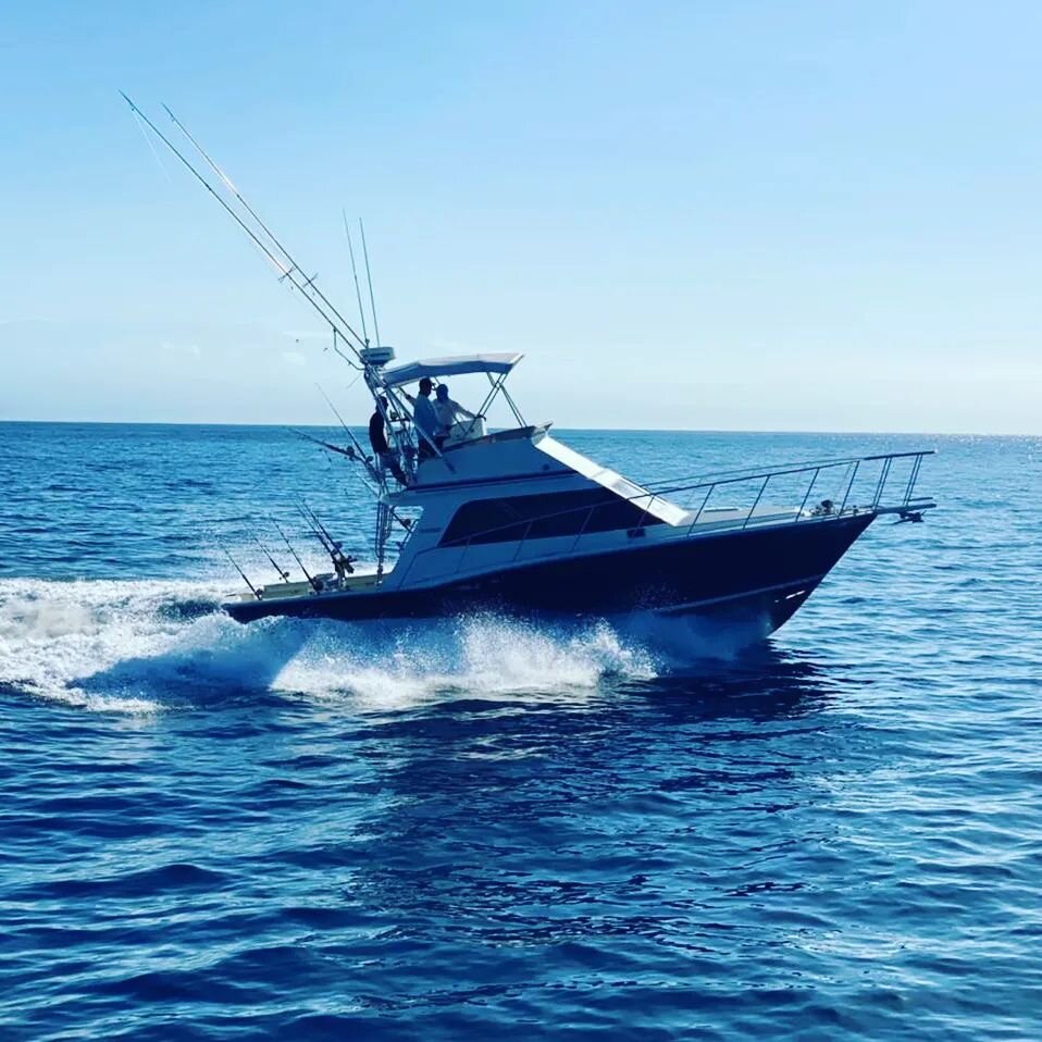 Fish Tale II Private Sunset Cruise Flamingo | Native's Way Costa Rica Tours