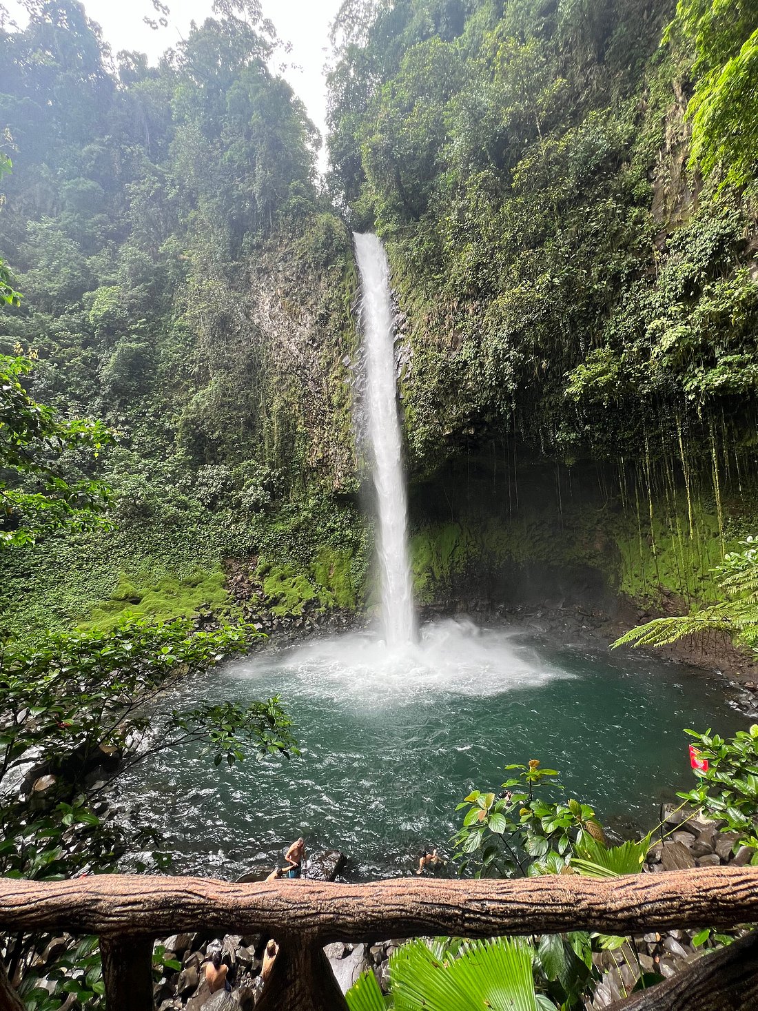 Arenal Volcano Hike, Hanging Bridges & La Fortuna Waterfall Tour ...
